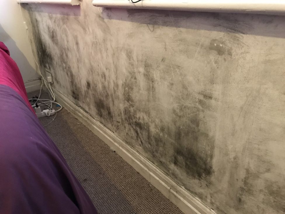 Former Northumbria University student in mouldy flat 'nightmare' - BBC News