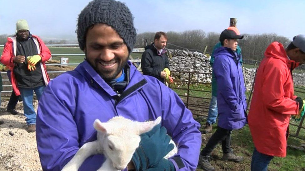 The Yorkshire Dales farmer helping asylum seekers - BBC News