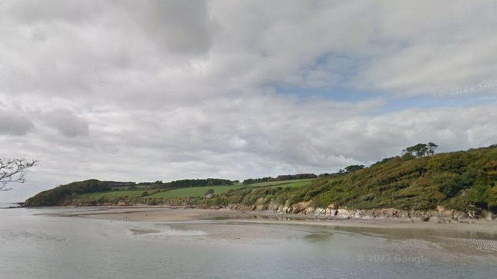 Devon: Eight arrested over Mothecombe Beach alleged people-smuggling ...