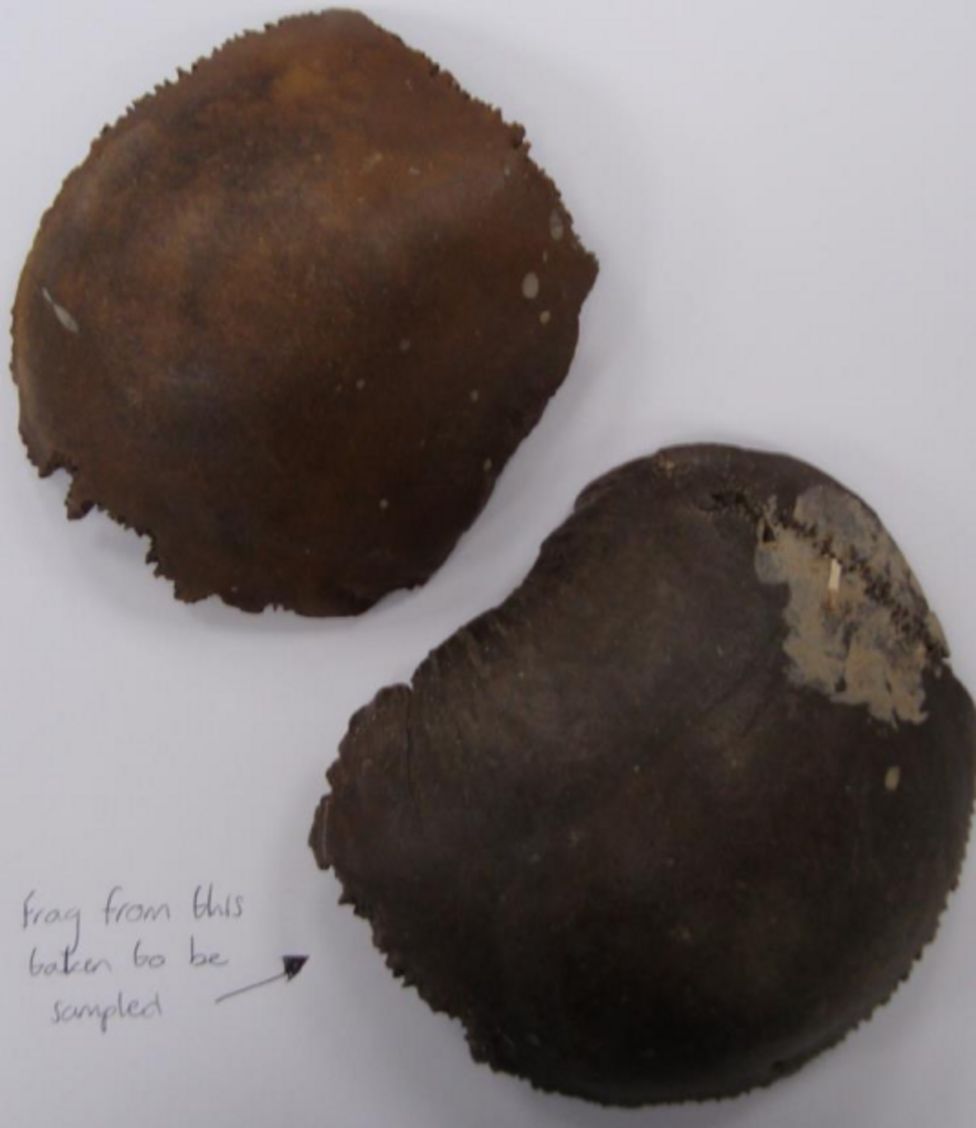 Human bones found in Gloucestershire date back to Bronze Age - BBC News