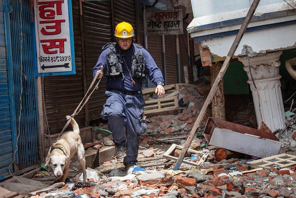 The rescued dogs that rescue people - BBC News