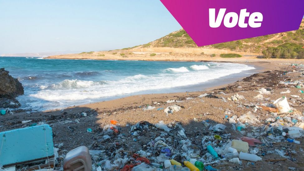 Penguin Awareness Day: How can we protect penguins? - BBC Newsround