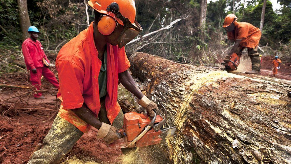 Cameroon country profile - BBC News