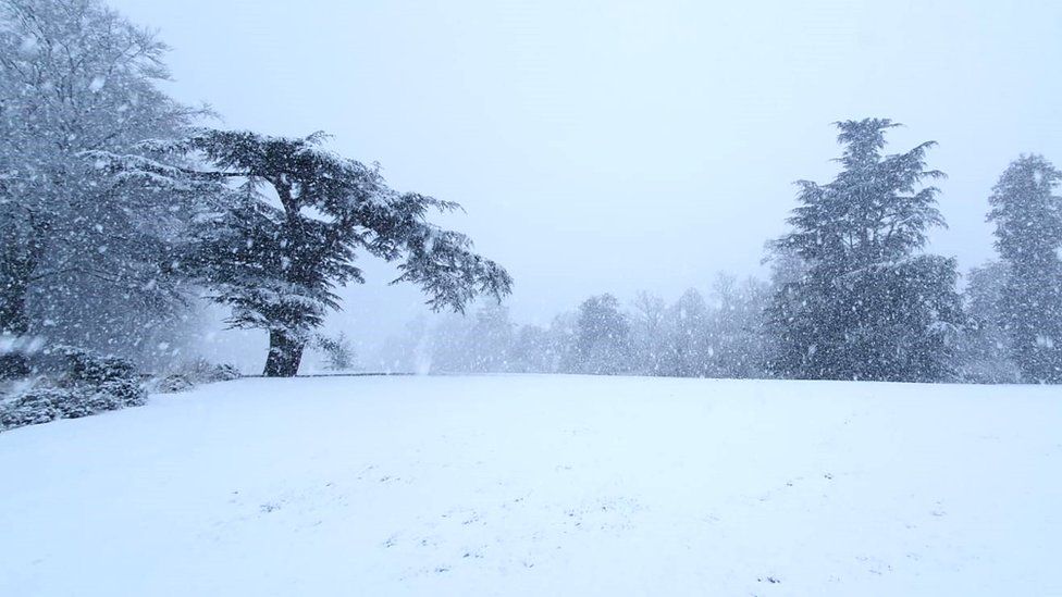 In Pictures: Surprise snowfall covers parts of Dorset - BBC News
