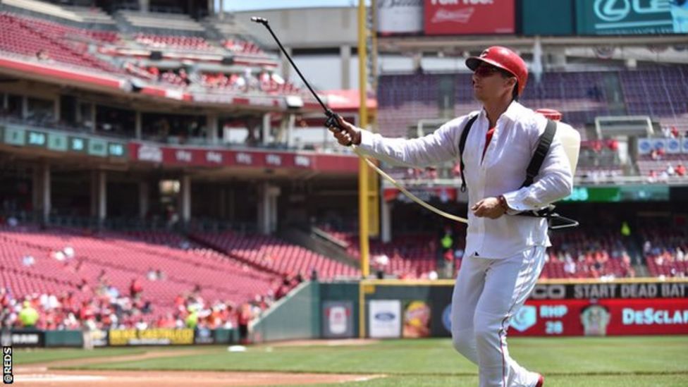 Bees delay first pitch as Cincinnati Reds beat San Francisco Giants - BBC Sport