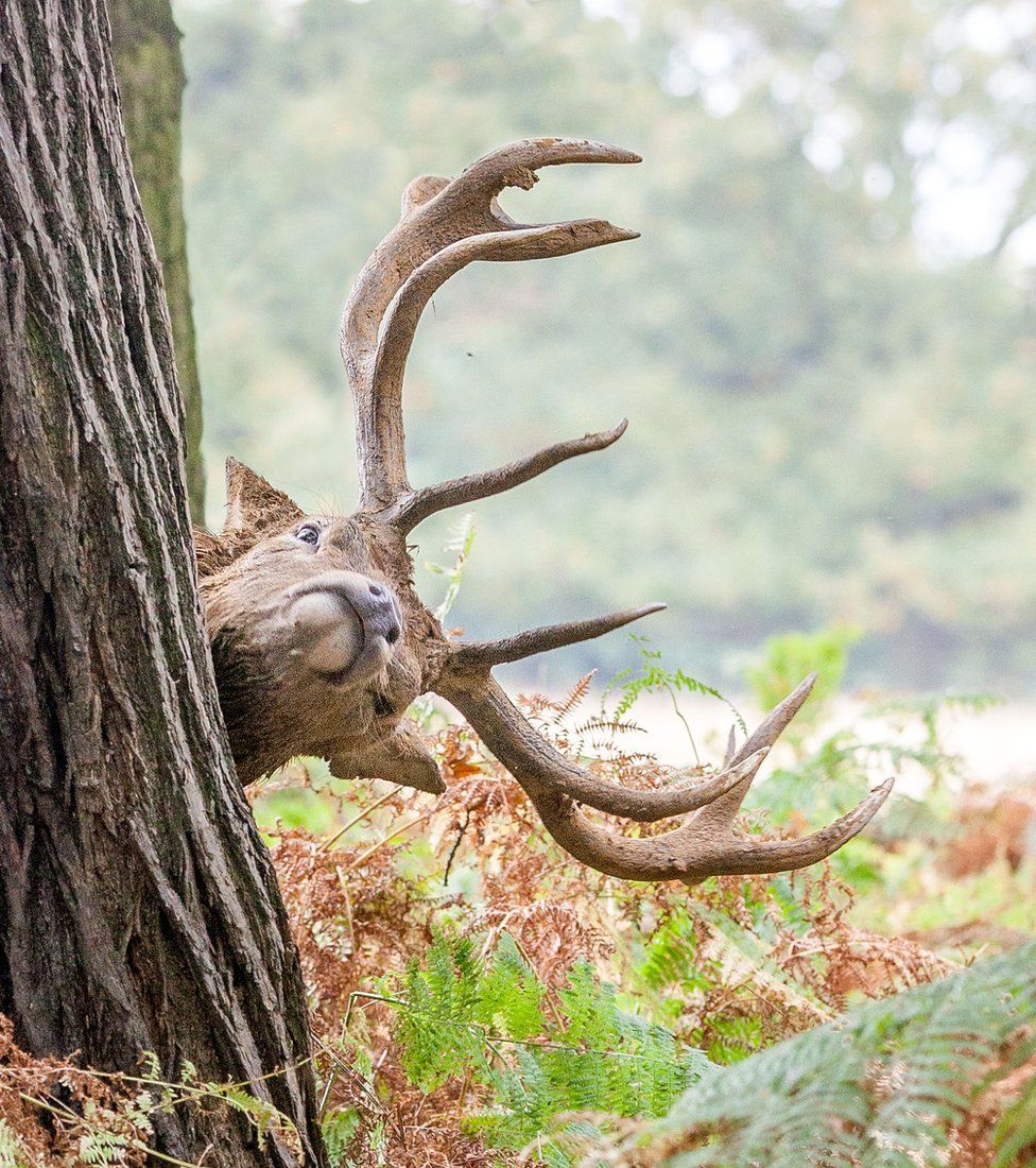 England's Big Picture: 5 - 11 December - BBC News