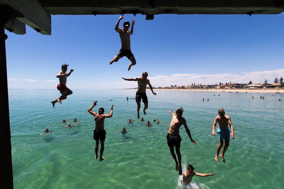 Week in pictures: 12-18 December 2015 - BBC News