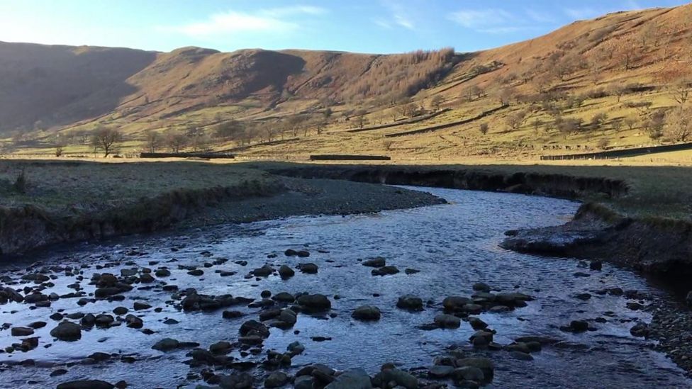 Haweswater nature reserve manager steps down after 'burn out' - BBC News