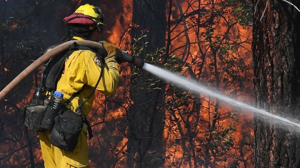California wildfires: Ferguson Fire near Yosemite contained - BBC News