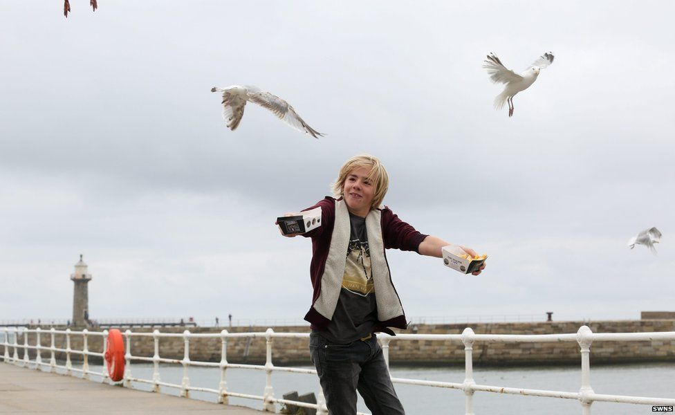 'Gull running' craze sweeps UK seaside towns from Whitby to Newquay ...