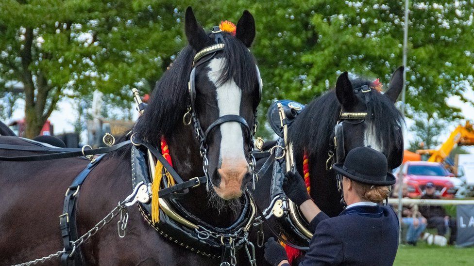 Nottinghamshire County Show returns to celebrate Queen's Platinum ...