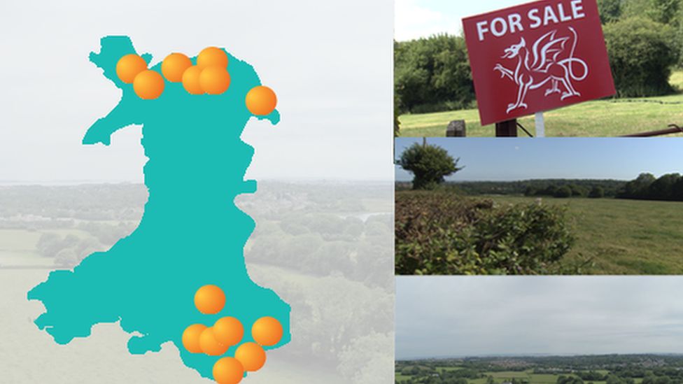 Welsh Government settles with land sale advice firms - BBC News