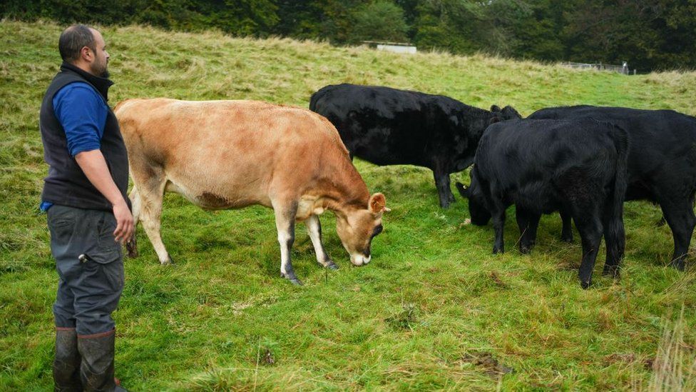 Muslim farmer wants more diverse rural visitors - BBC News