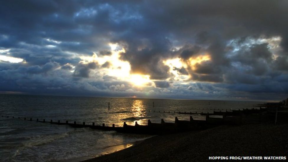 Weather Watcher profile: Hopping Frog - BBC Weather