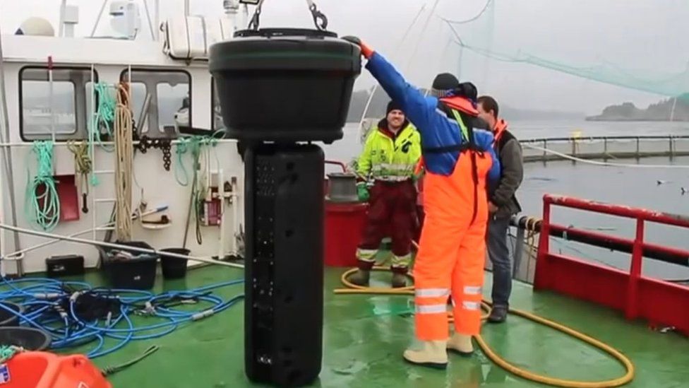 How lasers and robo-feeders are transforming fish farming - BBC News