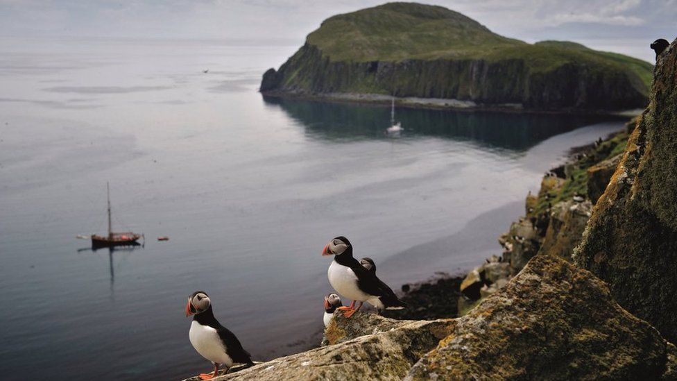 Shiant Islands in the Minch declared rat-free - BBC News