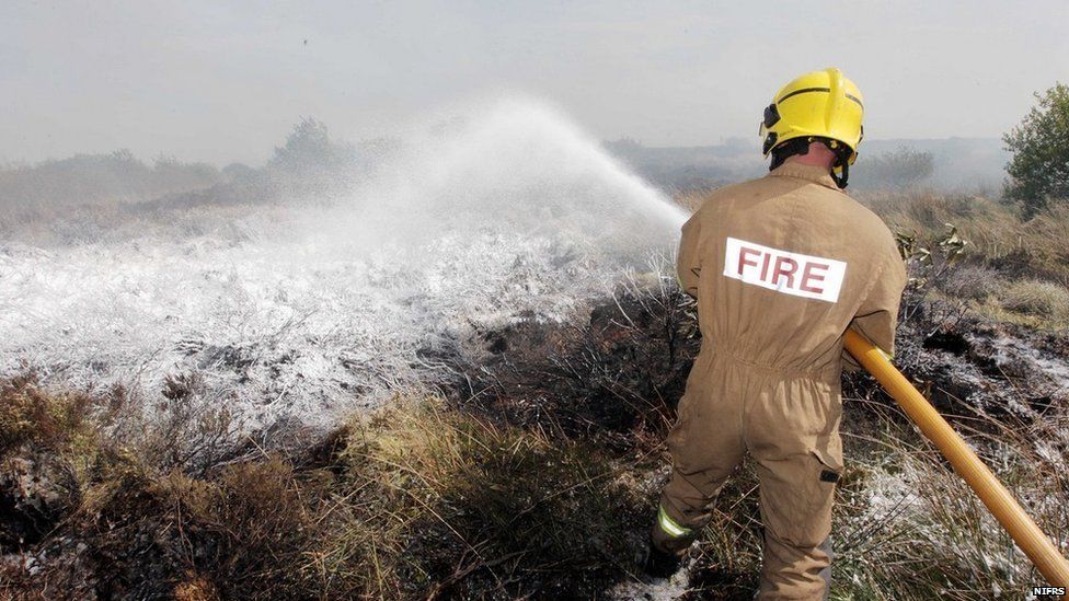 £500k bill for Northern Ireland gorse fires - BBC News