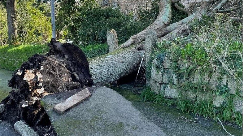 Storms cause 609 incidents on Cornwall’s roads - BBC News