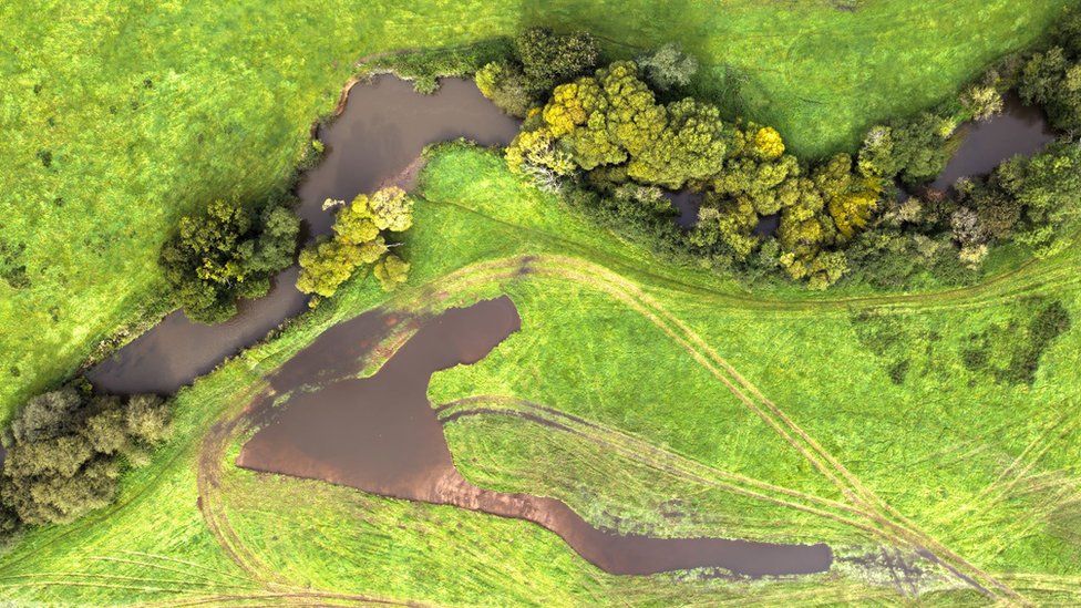 Killerton Estate completes green recovery project - BBC News