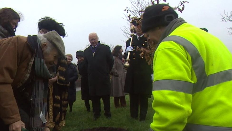 Holocaust Memorial Day: Tree plantings mark anniversary - BBC News