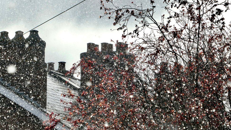 In pictures: Spring snow falls across the West Midlands - BBC News