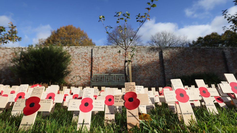 Poppy Appeal: Swindon field of crosses commemorates the fallen - BBC News