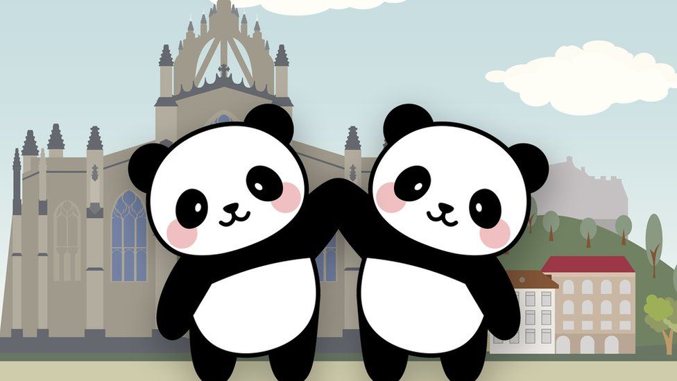 Giant Pandas: Scotland's favourite panda pair to stay for two more ...
