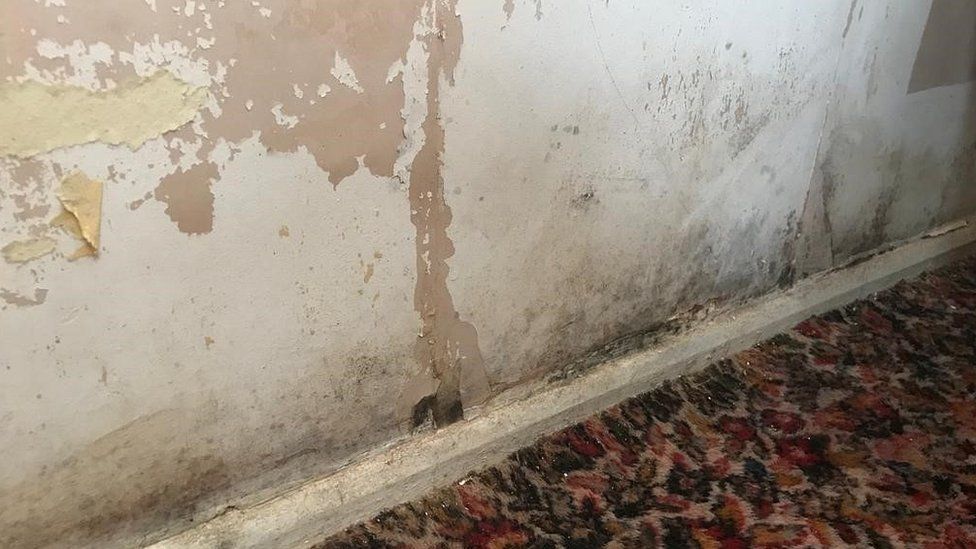 Poor housing: Doctors and schools left 'picking up pieces' - BBC News