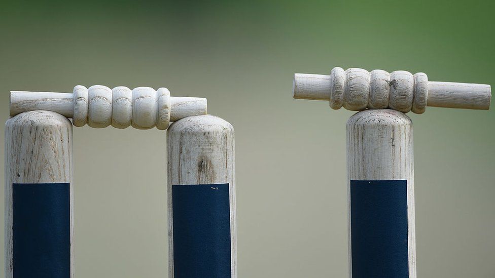 Ymddiheuriad bwrdd criced ar ôl adroddiad damniol - BBC Cymru Fyw