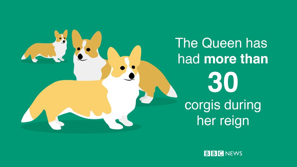 Go Figure: The Queen in numbers - BBC News