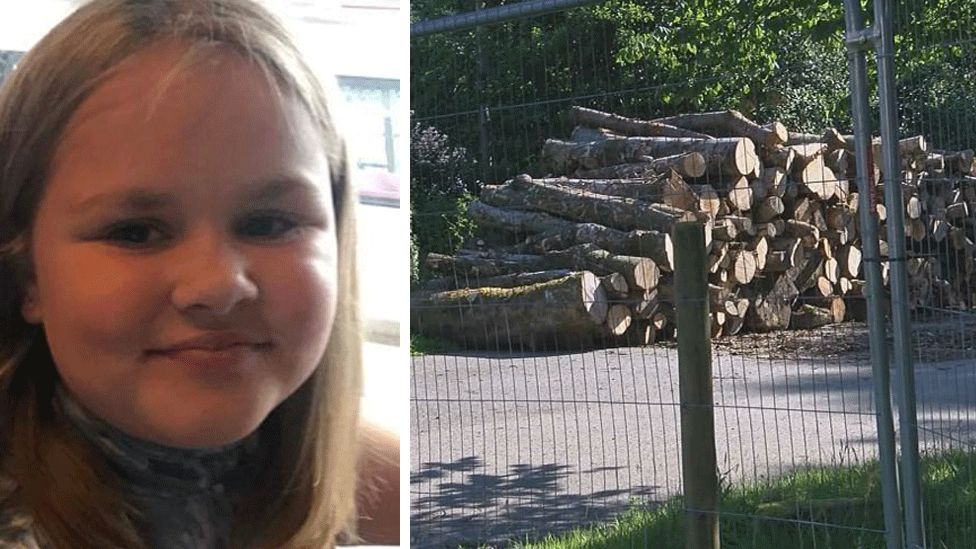 Kayla MacDonald named as girl killed by logs in Argyll forest - BBC News