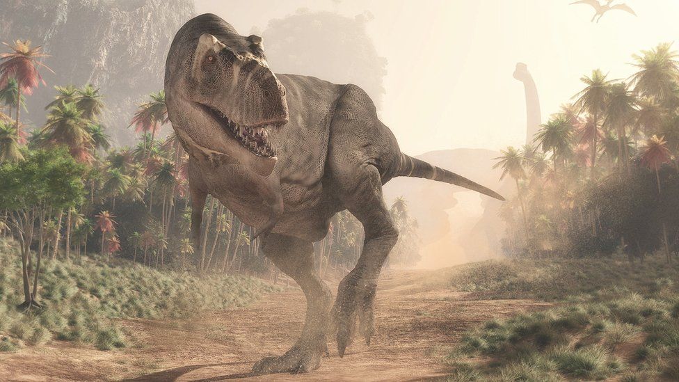 Meet the dinosaur that's a tiny T-Rex - BBC Newsround