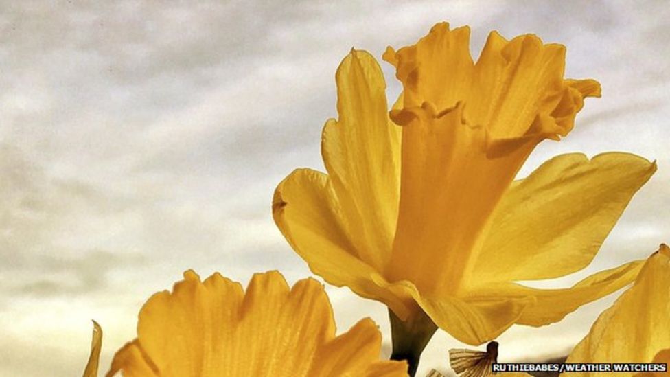 Why do we get April showers? - BBC Weather