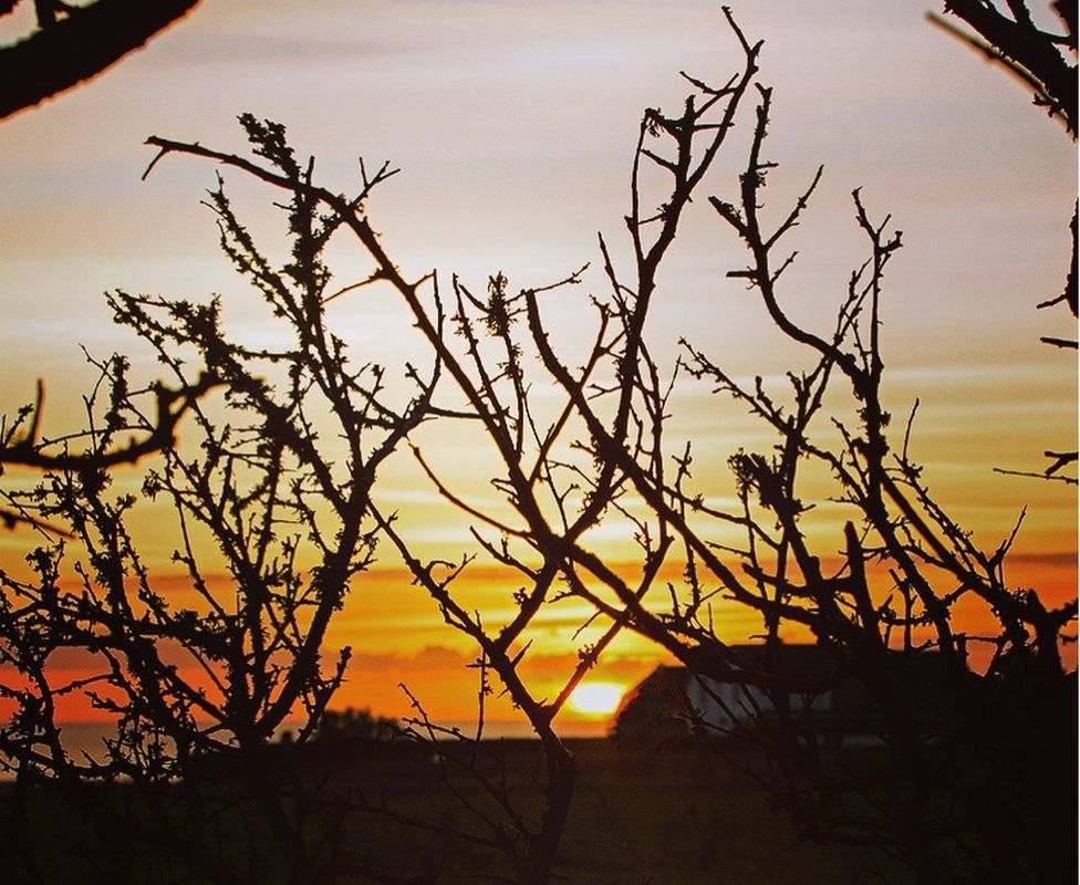 England's Big Picture: 14-20 November - BBC News