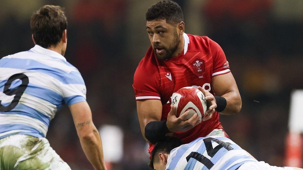 Cyfres yr Hydref: Cymru 20-13 Yr Ariannin - BBC Cymru Fyw