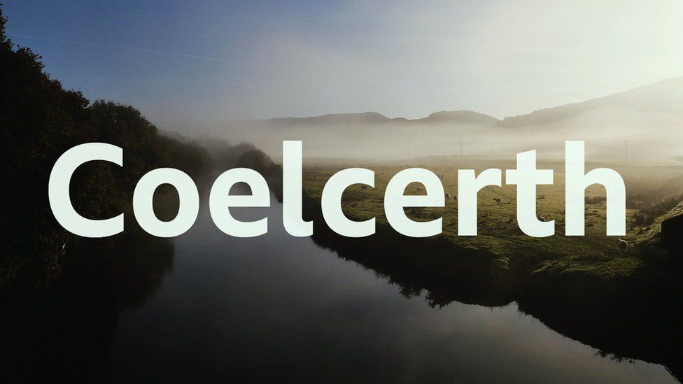 5 o eiriau cysurus yr hydref - BBC Cymru Fyw