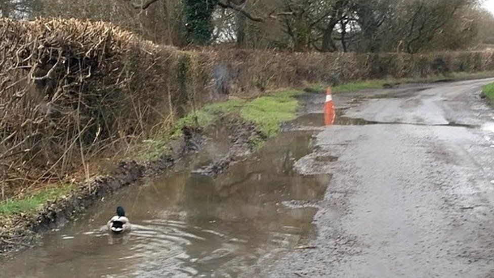 Horsham pothole 'deep enough for ducks' - BBC News