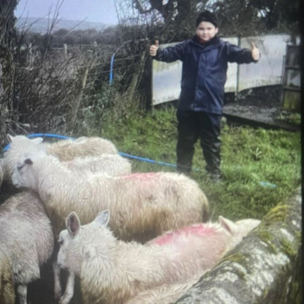 Hanner Tymor Tomos Bwlch - BBC Cymru Fyw