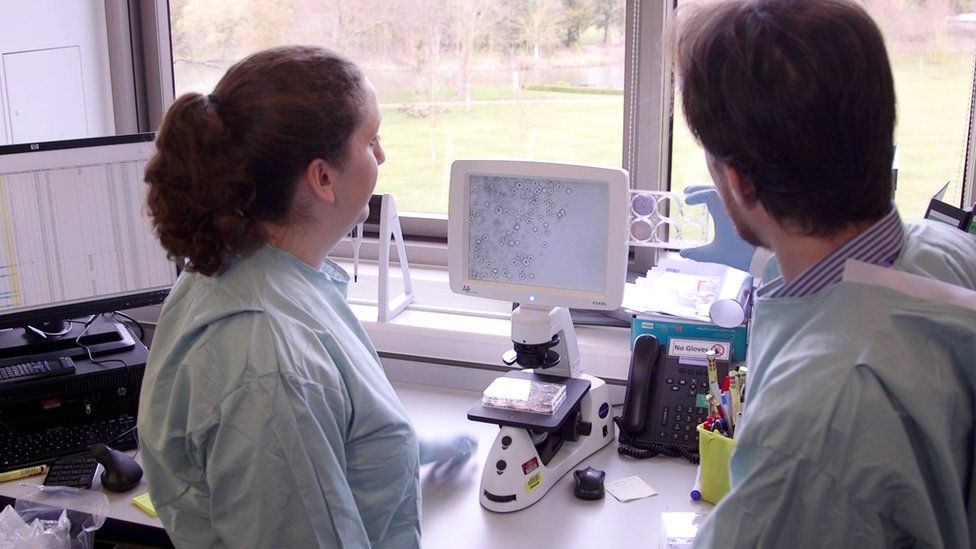 'Dismantling cancer' reveals weak spots - BBC News