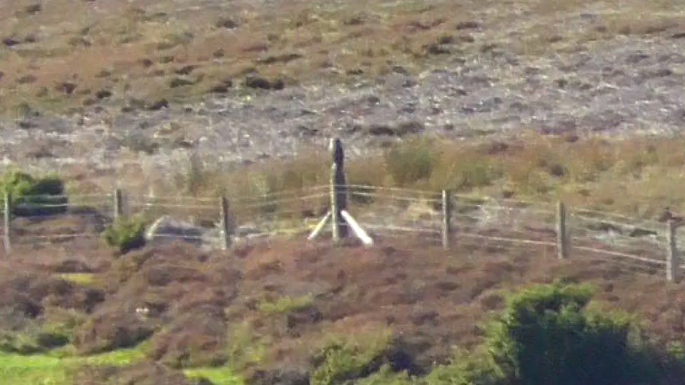 Gamekeeper filmed by RSPB shooting bird of prey - BBC News