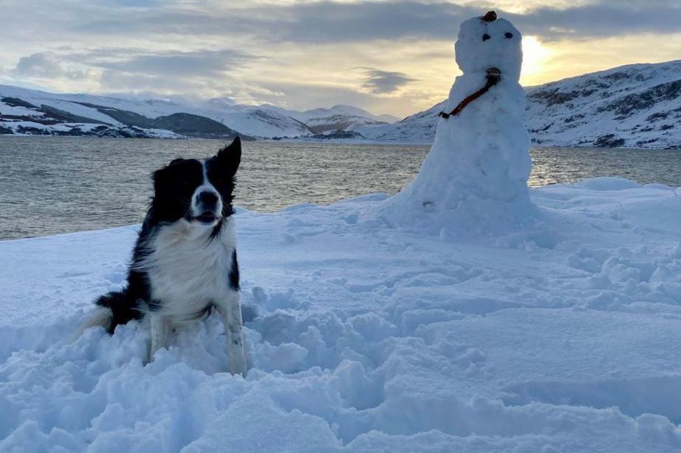 In pictures: Scotland under a blanket of snow - BBC News
