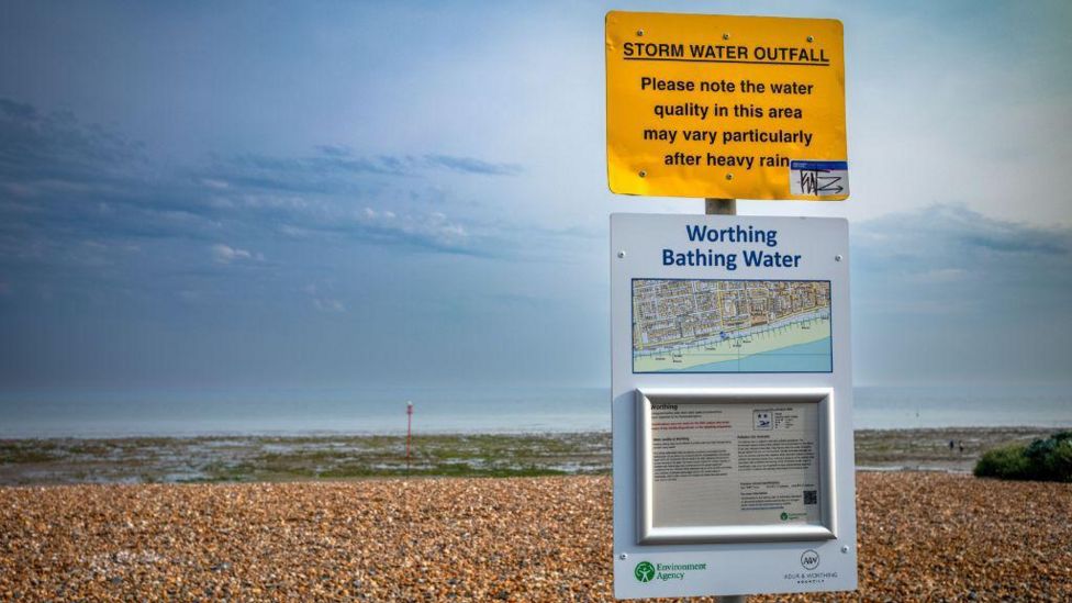 Three new wild swimming spots given go ahead in Sussex - BBC News