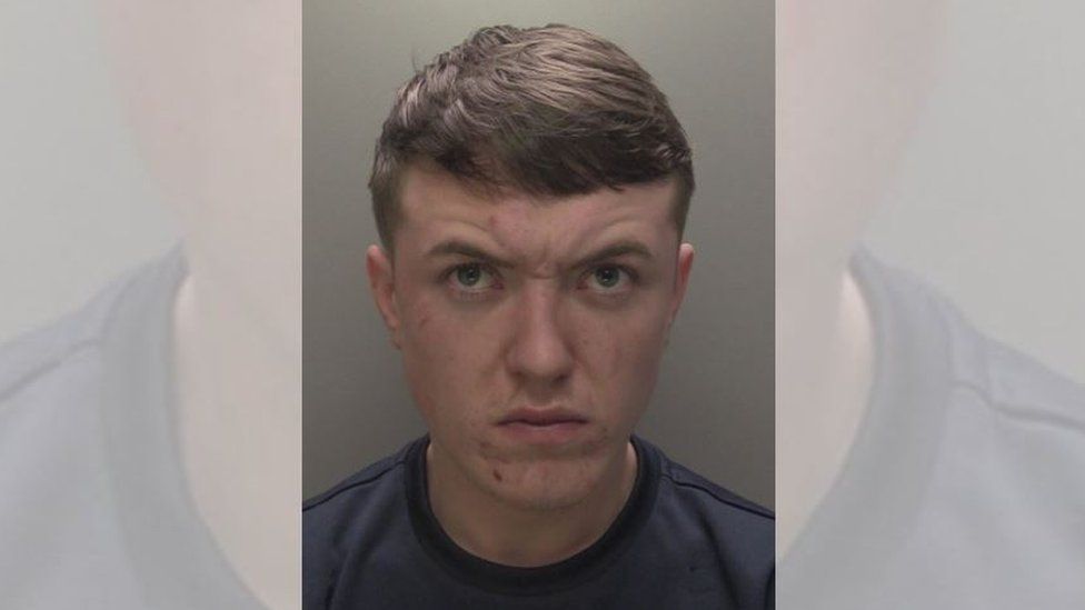 Hull: Man jailed for attacking a police dog - BBC News