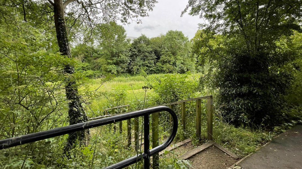 Mansfield: Wildlife concerns see homes plan rejected again - BBC News