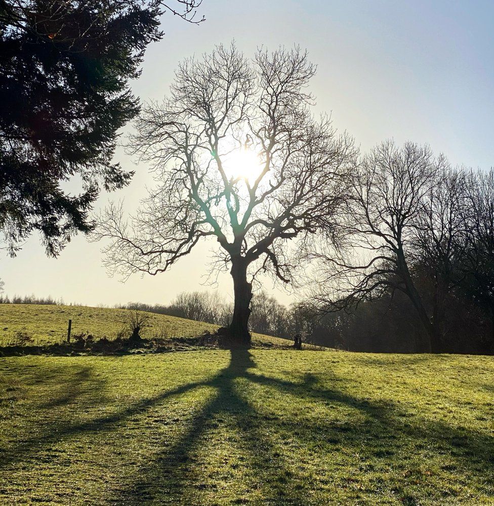 England's Big Picture: 11 - 17 January - BBC News