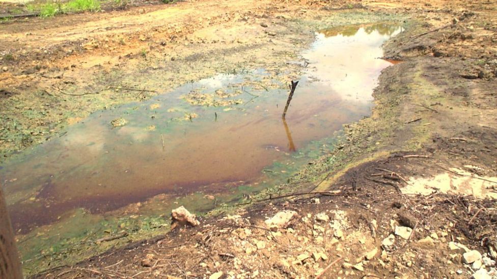 Shell Nigeria ordered to pay compensation for oil spills - BBC News