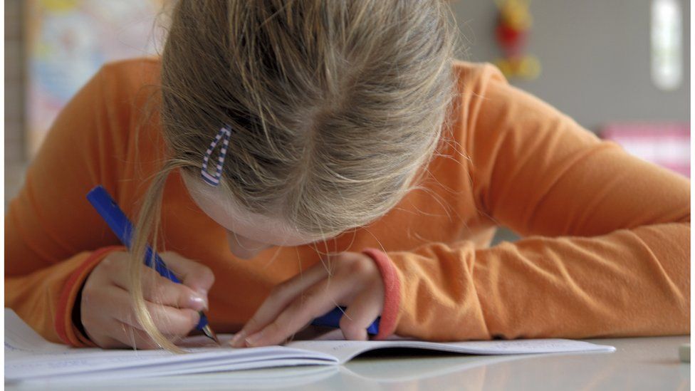 Author Jacqueline Wilson backs children's diary campaign - BBC News