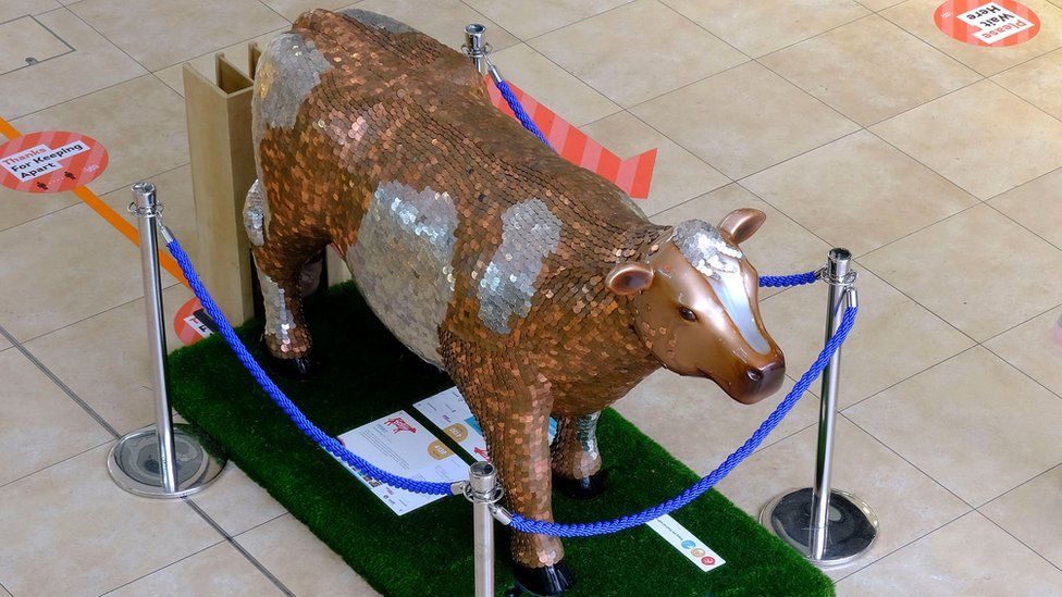 Cambridge udder the hammer cows sell for more than £250,000 - BBC News