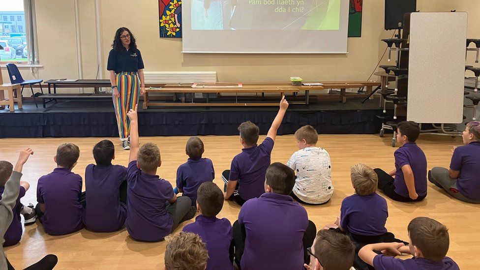 'Plant â mwy o synnwyr na llunwyr polisïau llaeth' - BBC Cymru Fyw