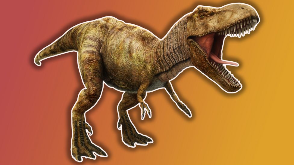 T-Rex: Did the Tyrannosaurus Rex hunt in a pack like wolves? - BBC ...